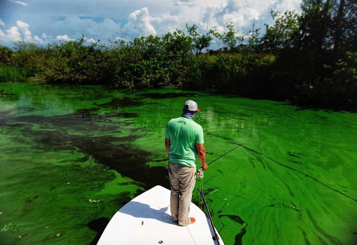 Captains for Clean Water Everglades Restoration | News | Raymarine